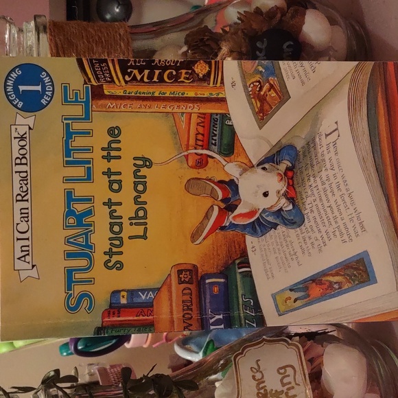 Other | Stuart Little Stuart At The Library Childrens Book | Poshmark